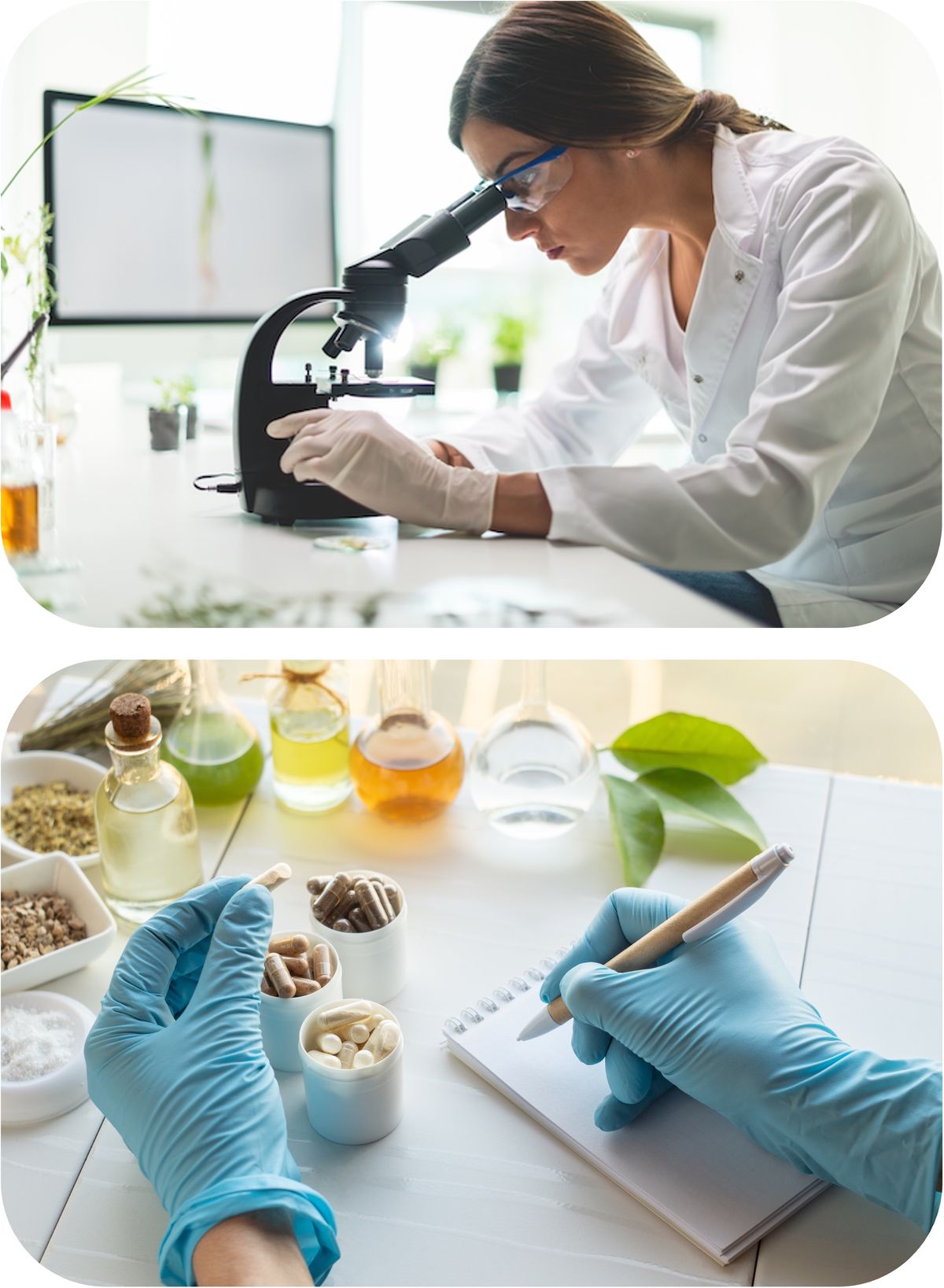 Fleximum n° 1 - il reste 347 boîtes en stock